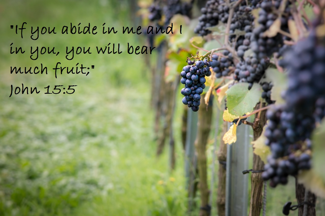 Abiding in Christ, the Secret to a Fruitful Life – Growing Graceful