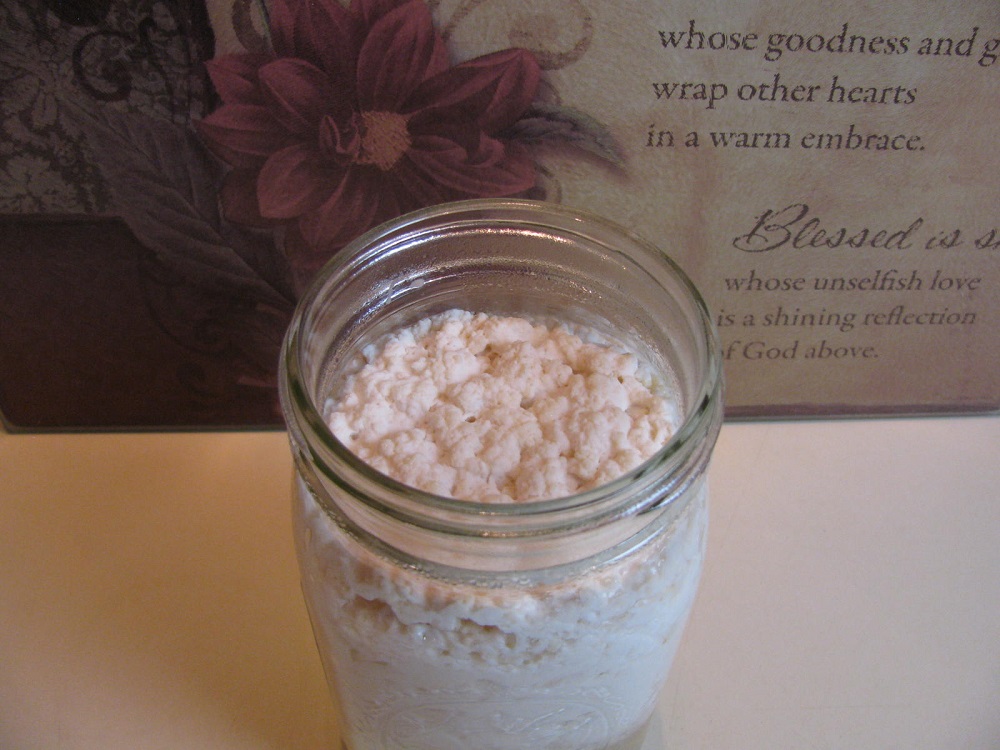 How to Make Coconut Water Kefir – Growing Graceful