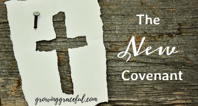 The Great Exchange: Understanding More About Covenants – Growing Graceful