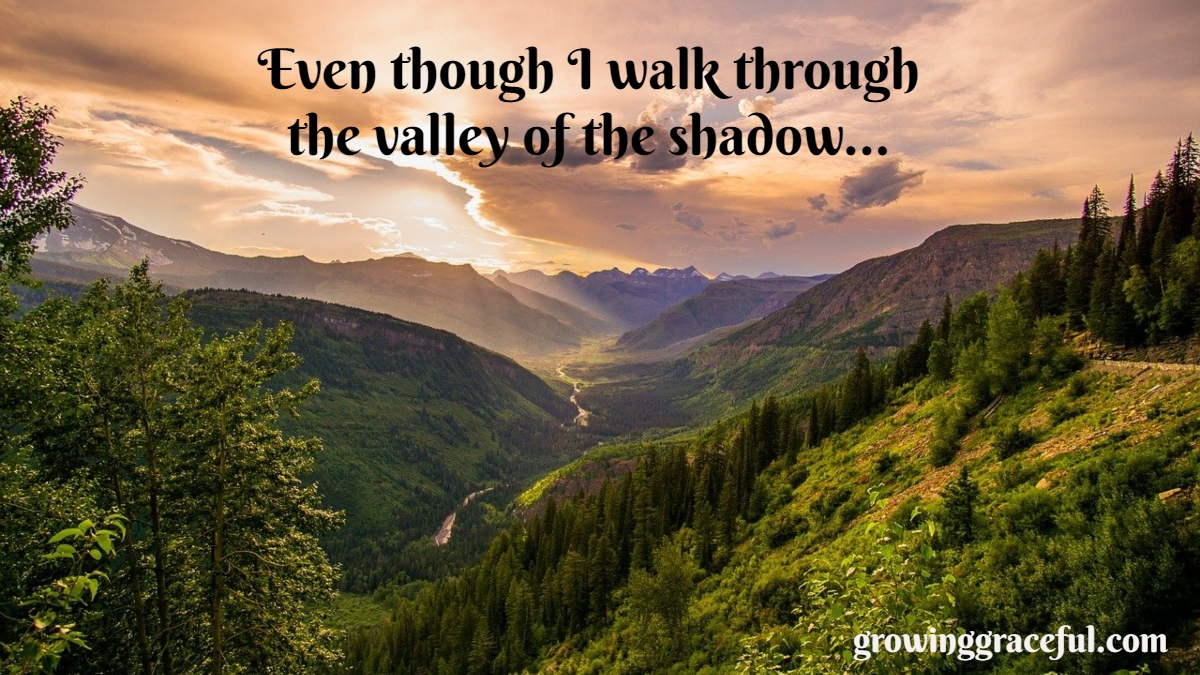 Reflections of Psalm 23, Day 7 – Growing Graceful