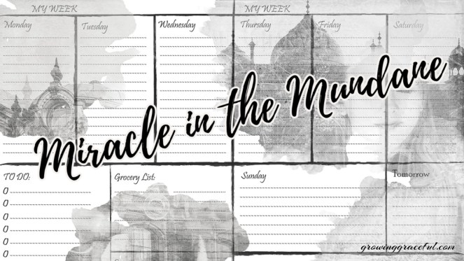 Miracle in the Mundane – Growing Graceful